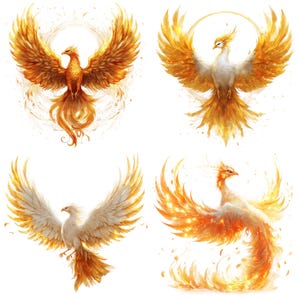 32 Golden Sunburst Phoenix PNG Clipart Bundle, Watercolor Mystical ...