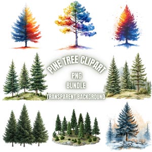 Pine Tree PNG Clipart Bundle, Watercolor Pine Tree Forest Illustration ...