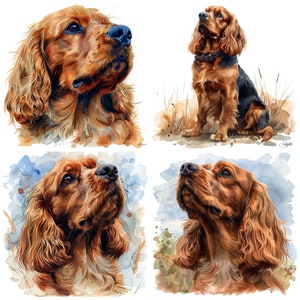 44 Cocker Spaniel Dog Breed PNG Clipart, Watercolor English Cocker ...