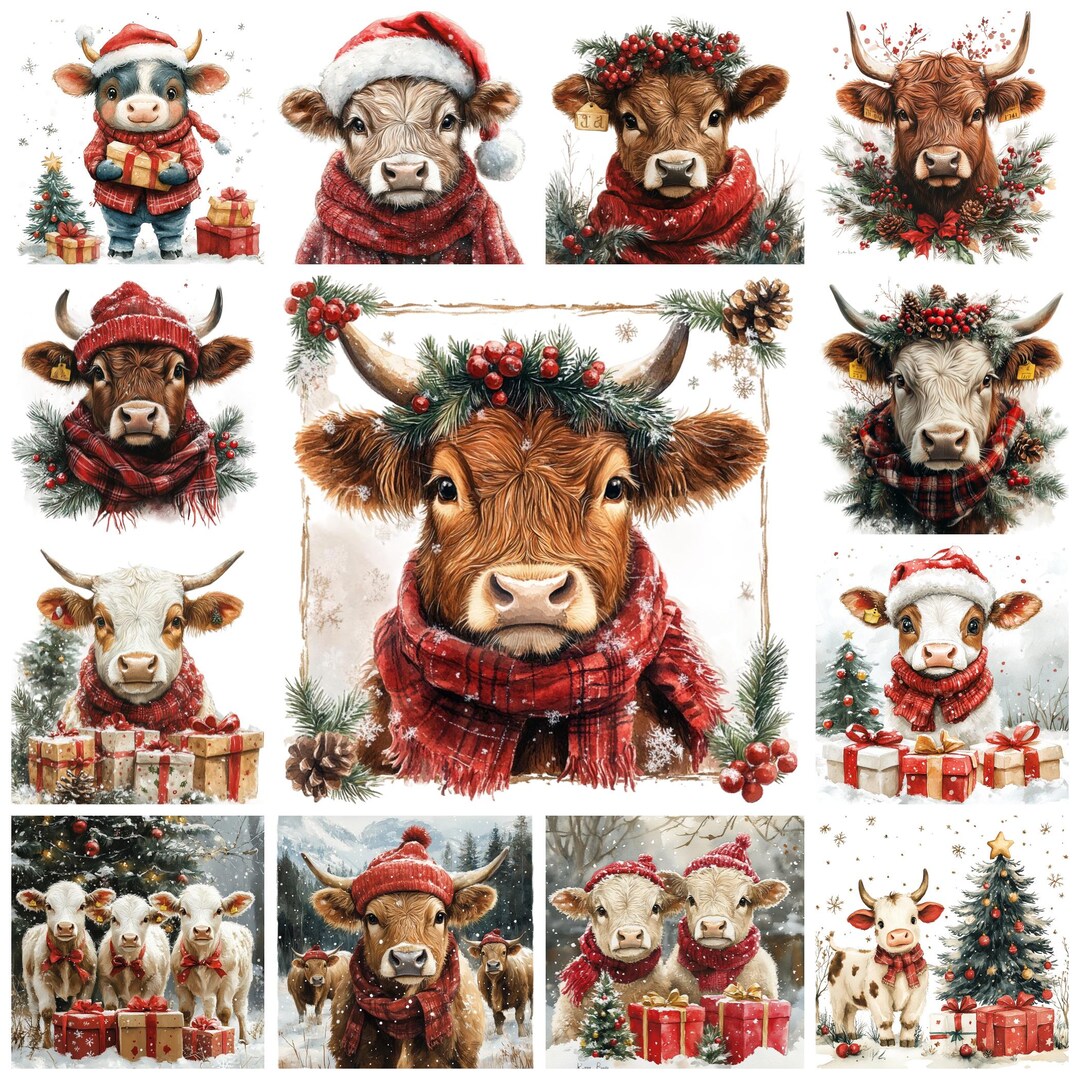 37 Christmas Cattle PNG Clipart Bundle, Watercolor Xmas Cattle ...