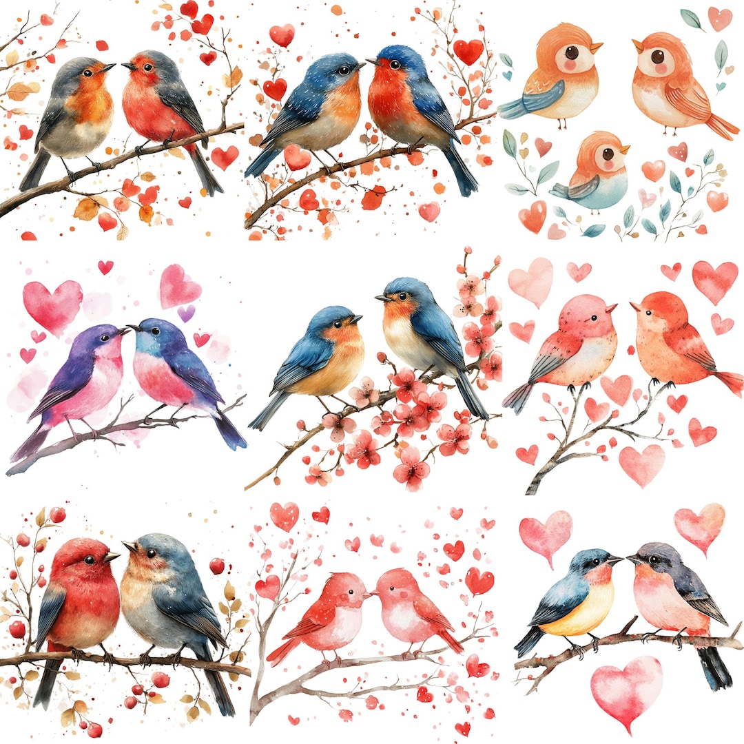 Valentine's Day Bird PNG Clipart Bundle, Watercolor Valentine's Day ...