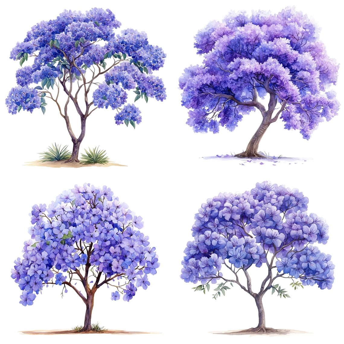Jacaranda Tree PNG Clipart Bundle, Watercolor Tree Illustration ...