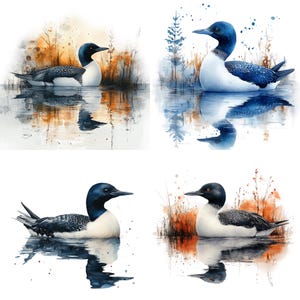 28 Common Loon PNG Clipart Bundle, Watercolor Loon Silhouette Abstract ...