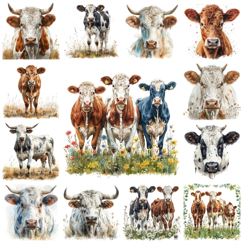 29 Watercolor Cattle PNG Clipart, Livestock Cattle Illustration, Farm ...