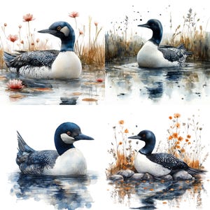 28 Common Loon PNG Clipart Bundle, Watercolor Loon Silhouette Abstract ...