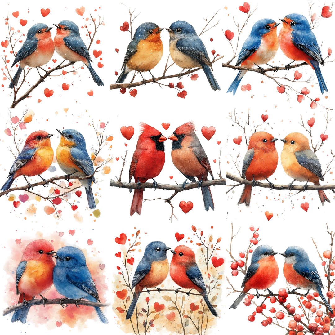 Valentine's Day Birds PNG Clipart Bundle, Watercolor Couple Birds ...