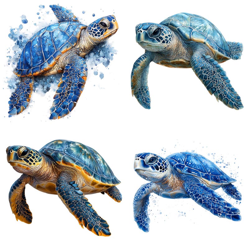 Sea Turtle PNG Clipart Bundle, Watercolor Sea Turtle Illustration ...