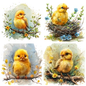 Watercolor Chick PNG Clipart, Adorable 43 Chick Illustration, Nursery ...