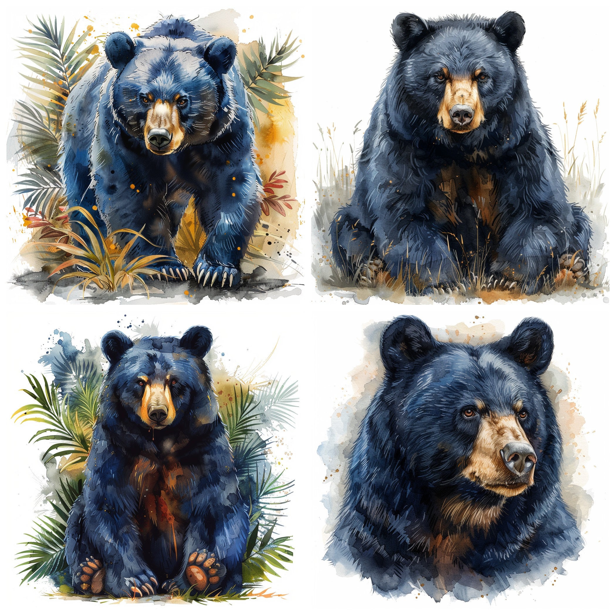 36 American Black Bear PNG Clipart, Watercolor Black Bear Wild Animal ...