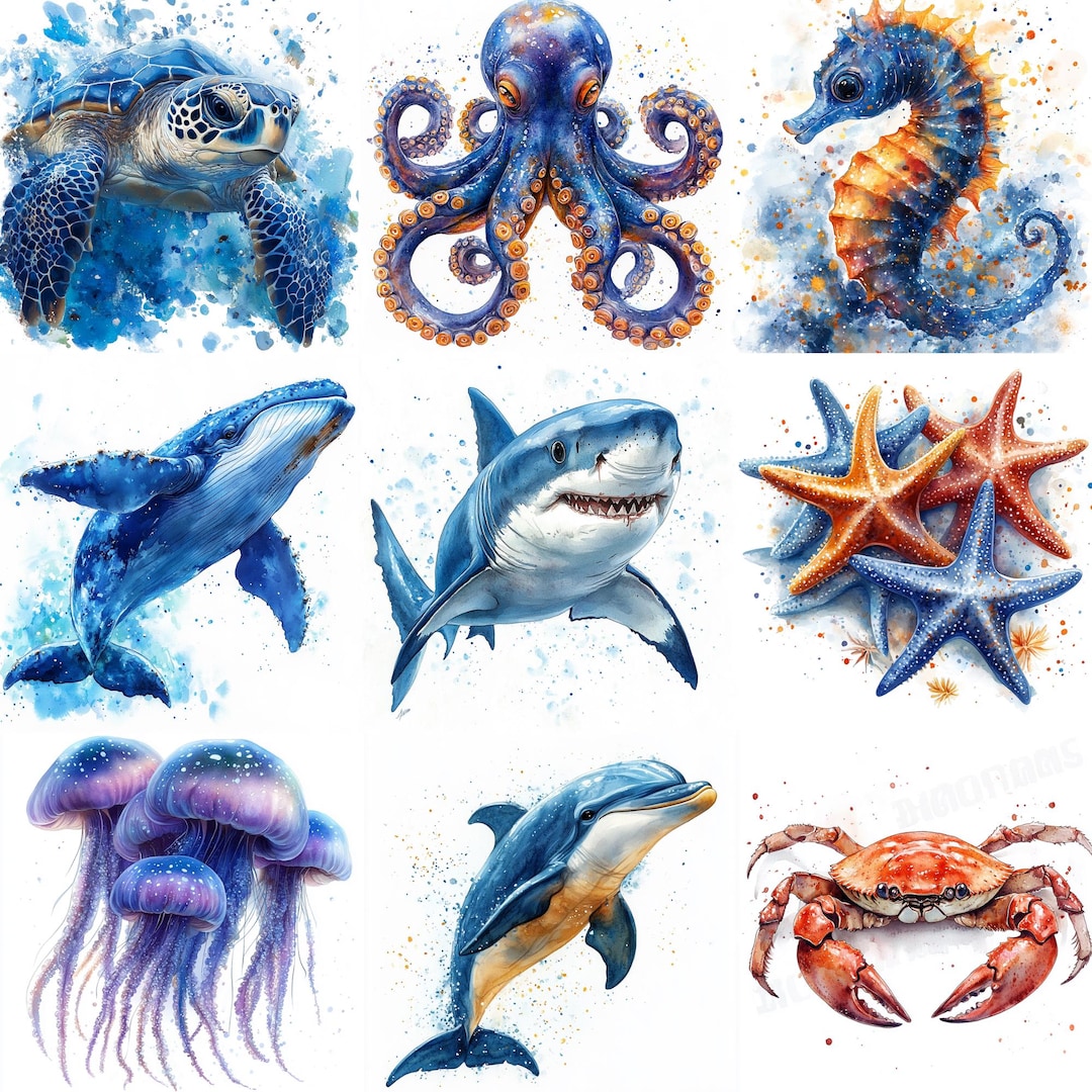 40 Marine Life PNG Clip Art Bundle, Watercolor Sea Animals Images ...