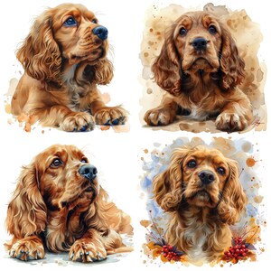 44 Cocker Spaniel Dog Breed PNG Clipart, Watercolor English Cocker ...
