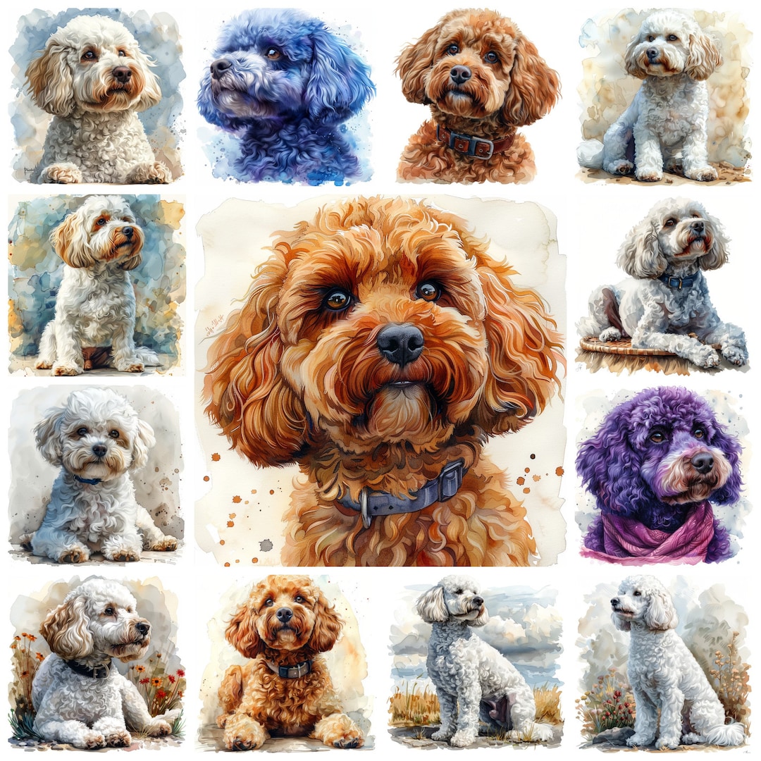 32 Poodle Dog Breed PNG Clipart, Watercolor Curly Dog Image, Caniche ...