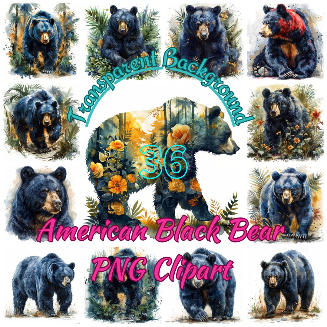 36 American Black Bear PNG Clipart, Watercolor Black Bear Wild Animal Images, Wild Bear Pictures ...