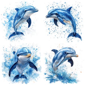 29 Watercolor Dolphin PNG Clipart Bundle, Nautical Dolphin Scenery ...