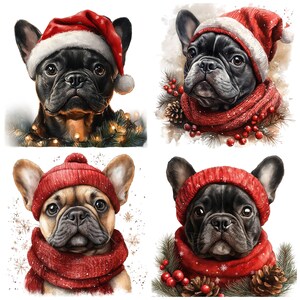 Christmas French Bulldog Clipart Bundle, Festive Frenchie PNG ...