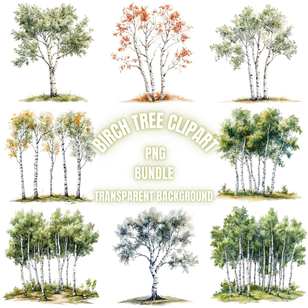 Birch Tree PNG Clipart Bundle, Watercolor Birch Tree Landscape ...