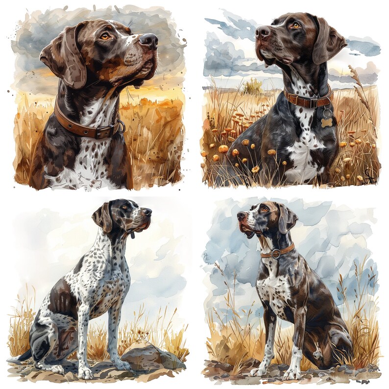 45 German Shorthaired Pointer PNG Clipart, Watercolor Hunting Dog Breed ...