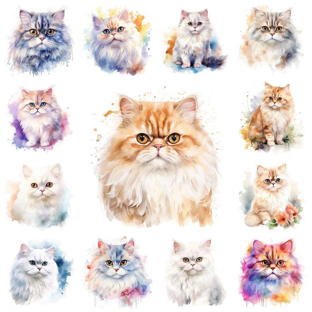 32 Persian Cat PNG Clipart Bundle, Watercolor Long-haired Persian Cat ...