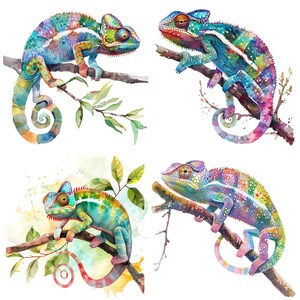 23 Watercolor Chameleon PNG Clipart, Color-changing Lizard Chamaeleons ...