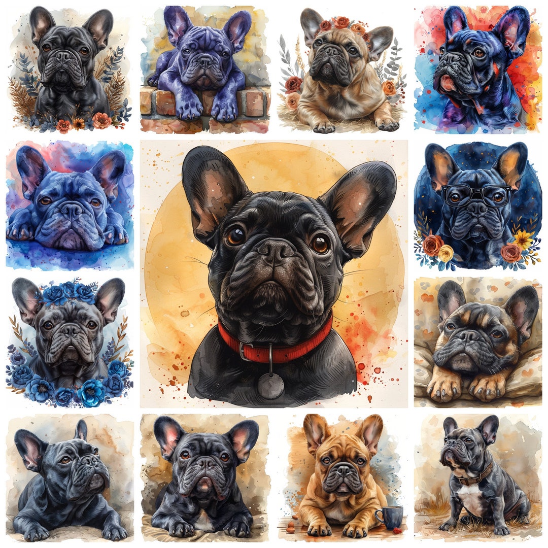 38 French Bulldog PNG Clipart, Watercolor Cute Frenchie Bulldog ...