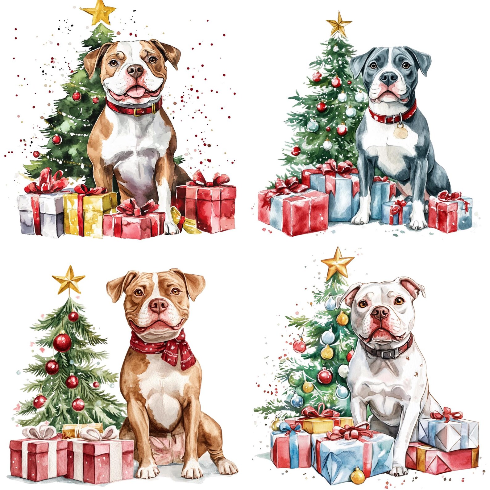 34 Christmas Pitbull Dog Breed PNG Clipart Bundle, Watercolor Xmas ...