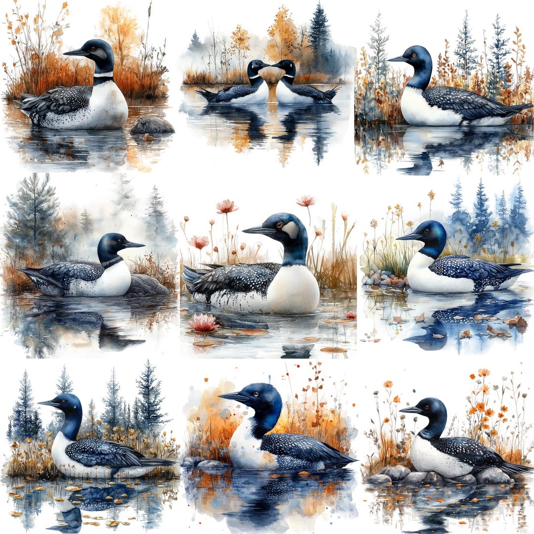 28 Common Loon PNG Clipart Bundle, Watercolor Loon Silhouette Abstract ...