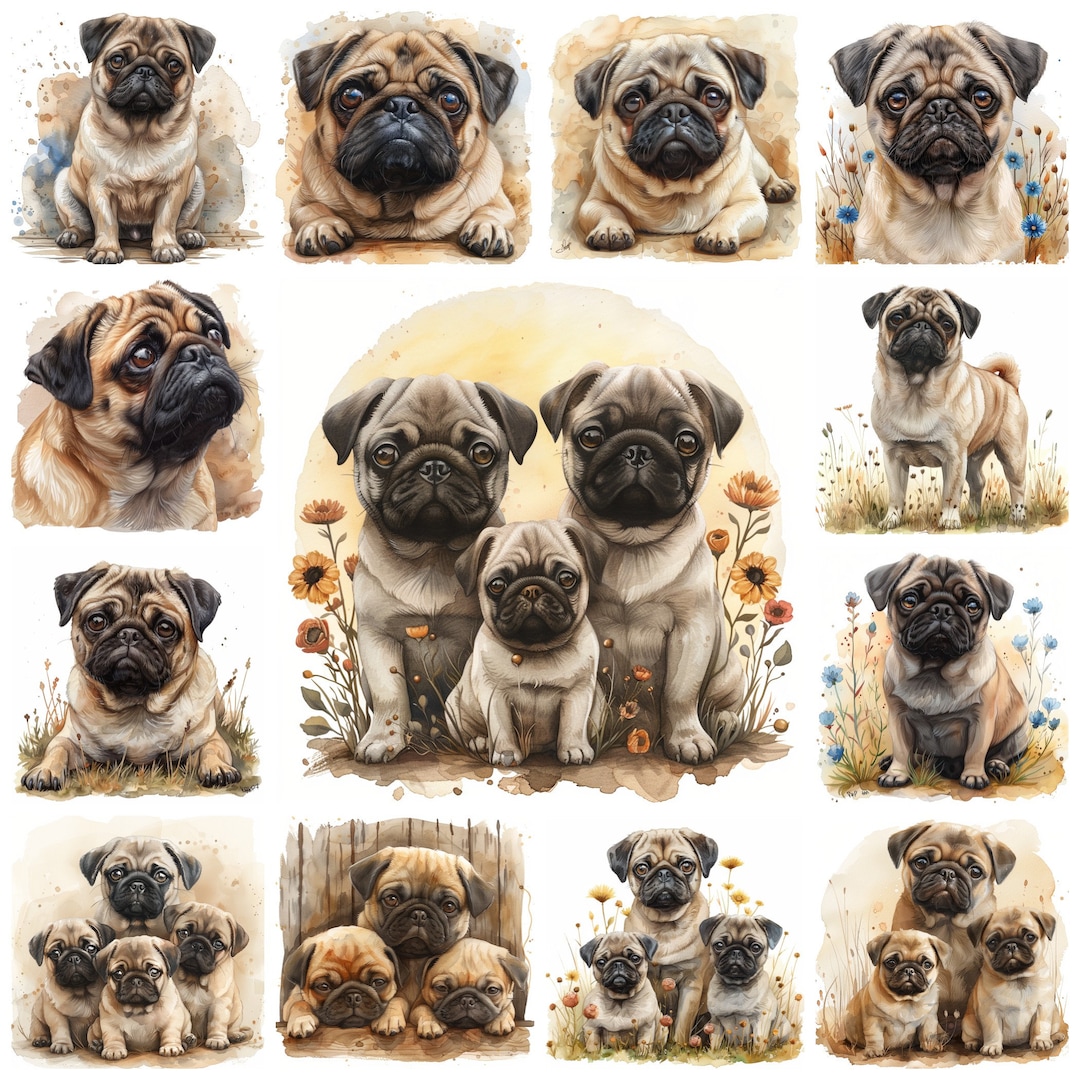 26 Pug Dog Breed PNG Clipart, Watercolor Cute Pug Family Illustration ...