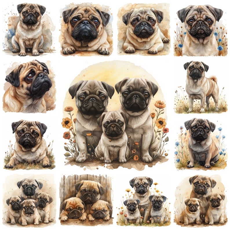 26 Pug Dog Breed PNG Clipart, Watercolor Cute Pug Family Illustration ...