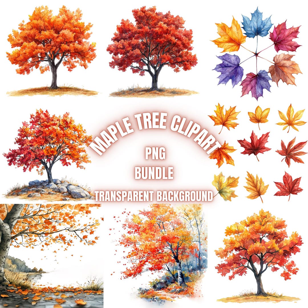 Maple Tree PNG Clipart Bundle, Watercolor Maple Tree Landscape ...