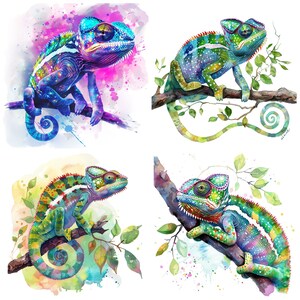 23 Watercolor Chameleon PNG Clipart, Color-changing Lizard Chamaeleons ...