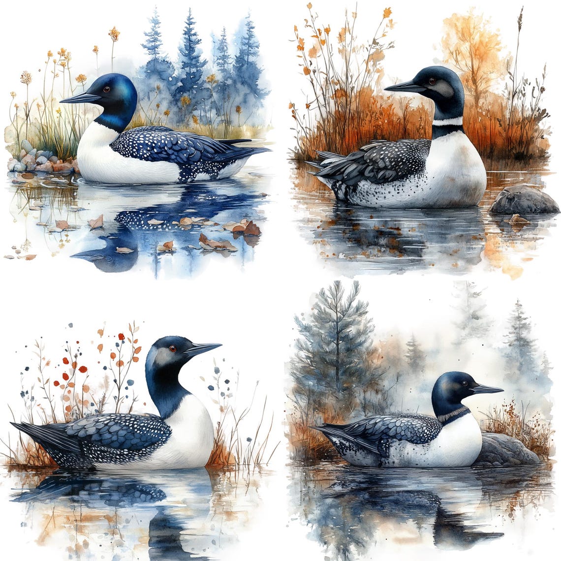 28 Common Loon PNG Clipart Bundle, Watercolor Loon Silhouette Abstract ...