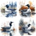 28 Common Loon PNG Clipart Bundle, Watercolor Loon Silhouette Abstract ...