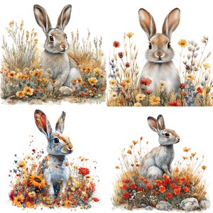 34 Jackrabbit PNG Clipart Bundle, Watercolor Floral Jackrabbit Scenery ...