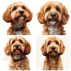 50 Golden Doodle Dog Breed Clipart PNG Bundle, Watercolor Fluffy Doodle ...