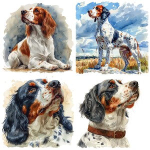English Setter Dog Breed PNG Clipart, Watercolor 44 Laverack Setter Pet ...