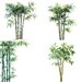 Bamboo Tree PNG Clipart Bundle, Watercolor Bamboo Forest Landscape ...