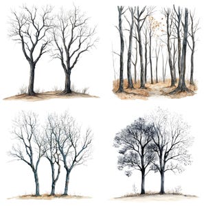 Ash Tree PNG Clipart Bundle, Watercolor Ash Forest Landscape ...