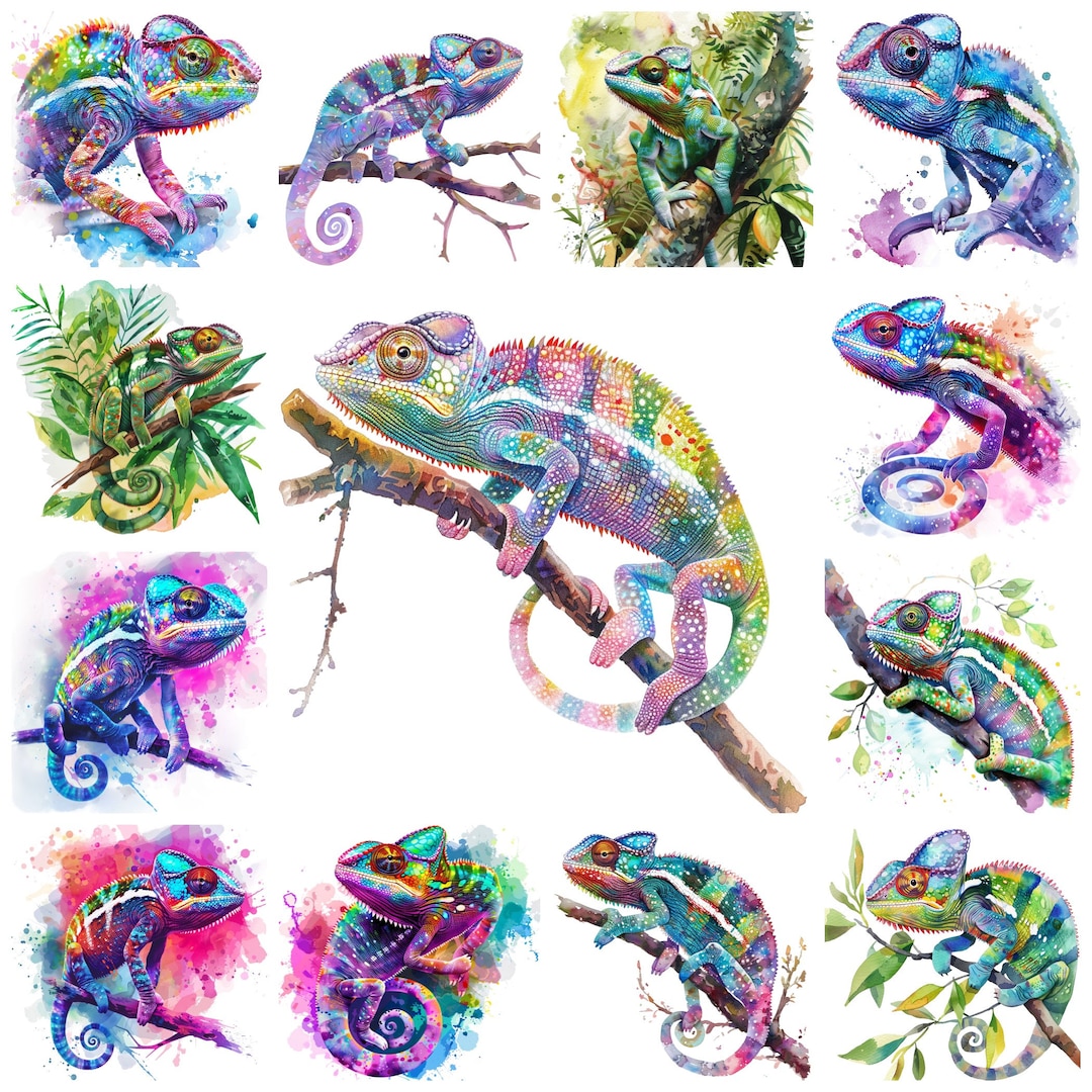 23 Watercolor Chameleon PNG Clipart, Color-changing Lizard Chamaeleons ...