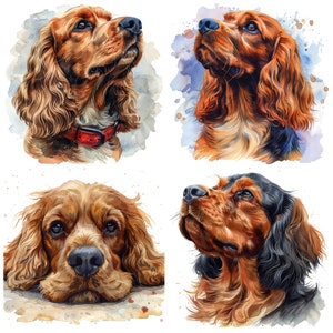 44 Cocker Spaniel Dog Breed PNG Clipart, Watercolor English Cocker ...