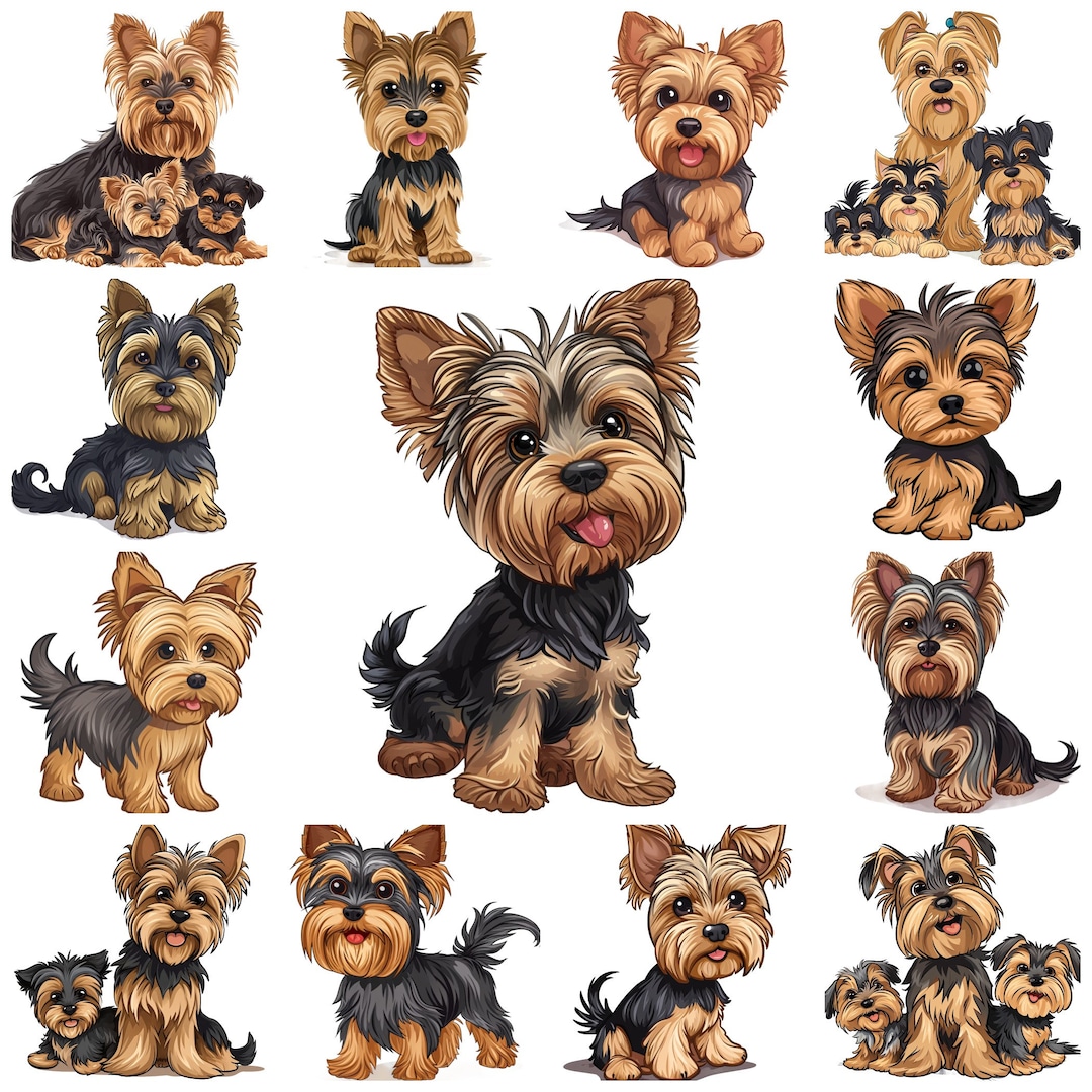 Cartoon Yorkshire Terrier PNG Clipart, 33 Adorable Yorkshire Terrier ...