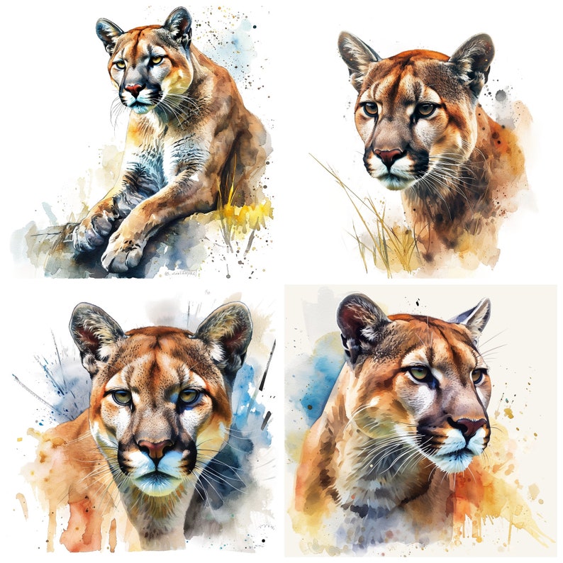 32 Puma Wild Animal PNG Clipart, Watercolor Cougar Image, Mountain Lion ...