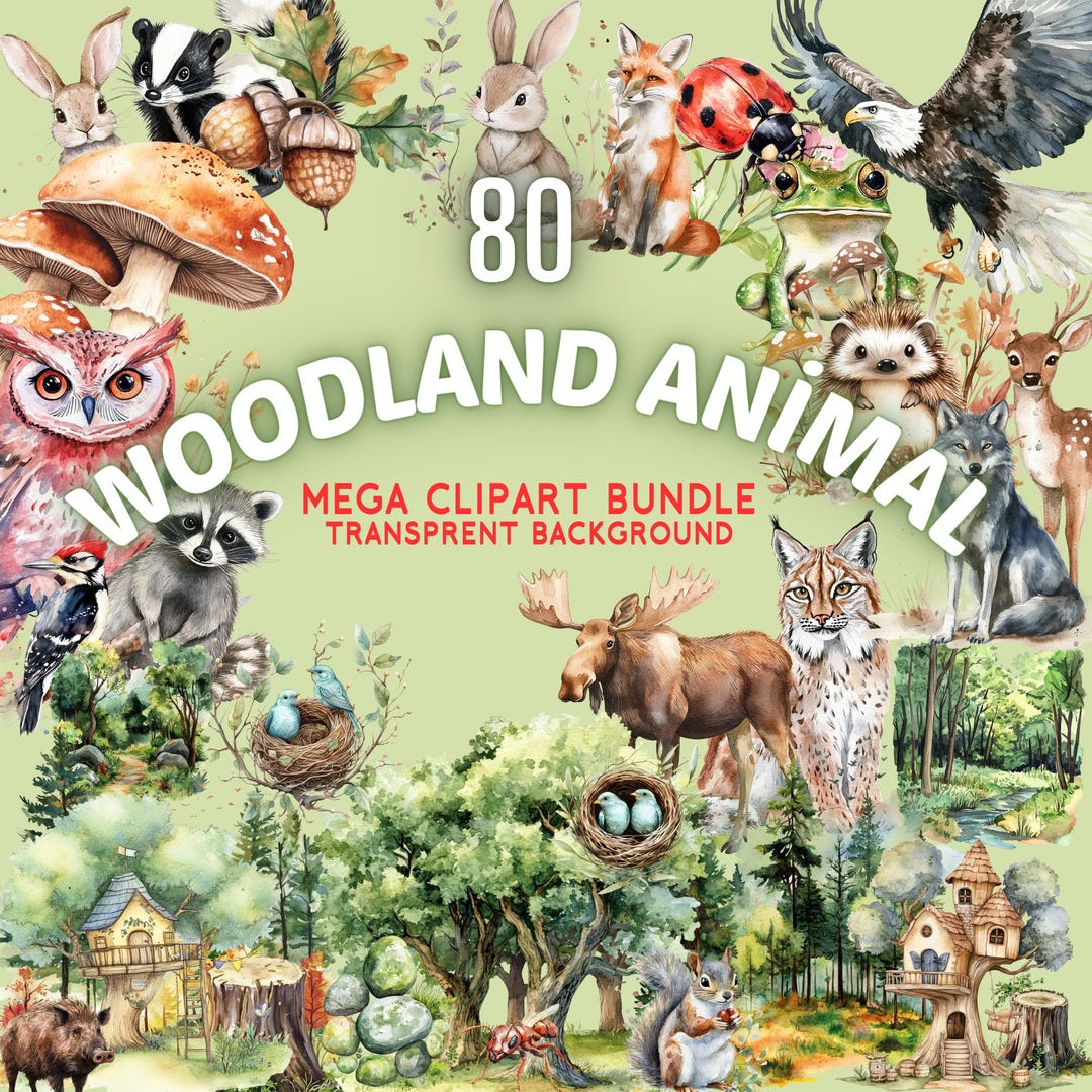 80 Woodland Animals PNG Clipart Big Bundle, Watercolor Woodland ...