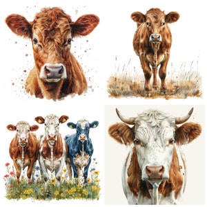 29 Watercolor Cattle PNG Clipart, Livestock Cattle Illustration, Farm ...