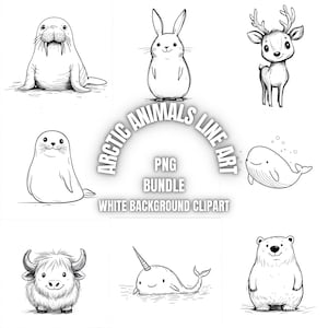 Arctic Animals Line Art PNG Clipart Bundle, Abstract Line Line Art ...