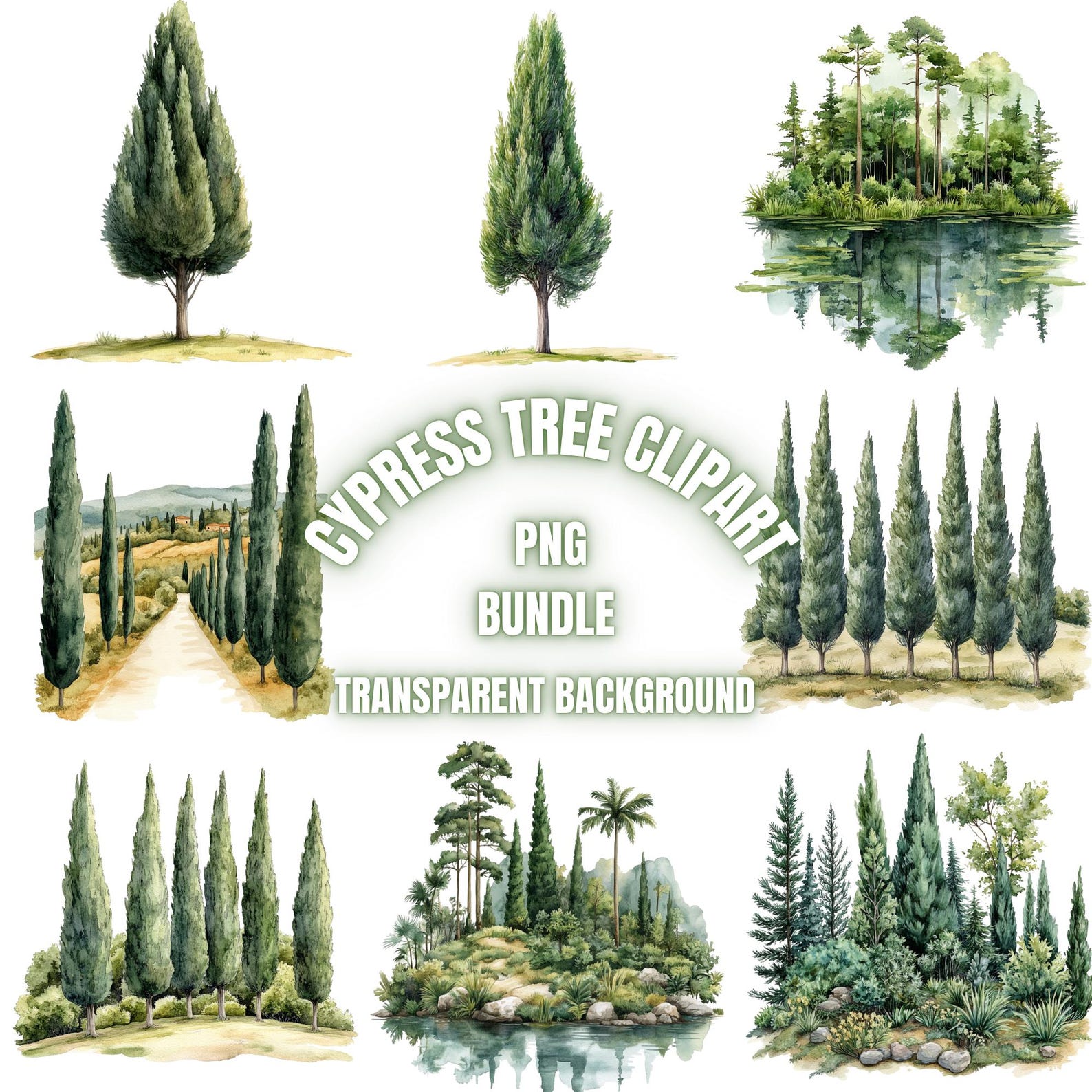 Cypress Tree PNG Clipart Bundle, Watercolor Cypress Tree Landscape ...