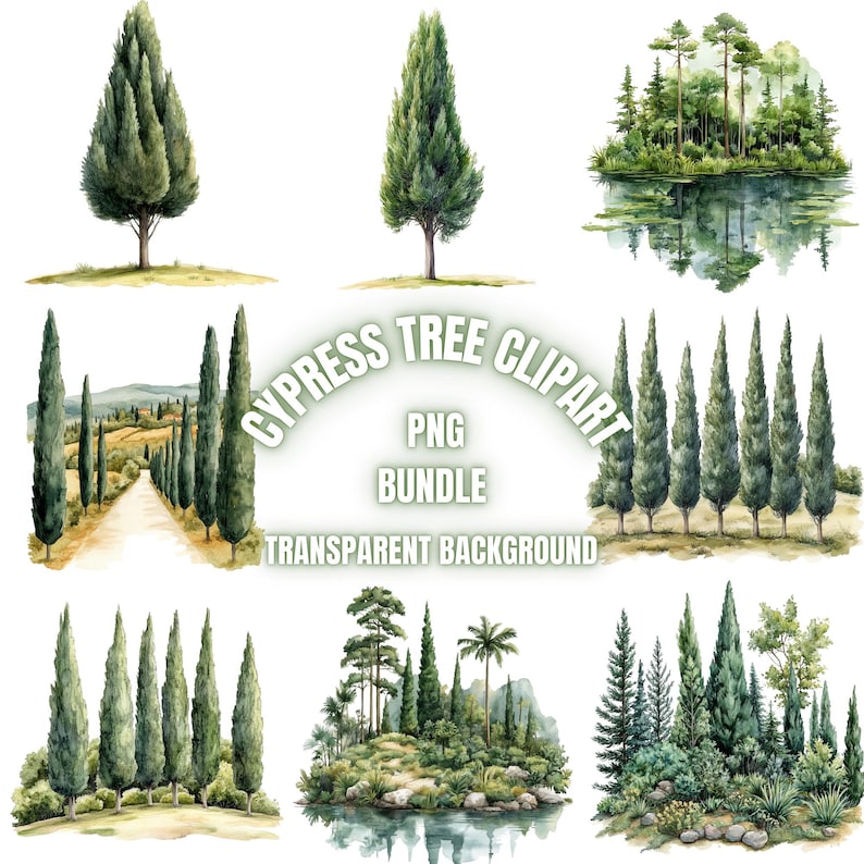 Cypress Tree PNG Clipart Bundle, Watercolor Cypress Tree Landscape ...