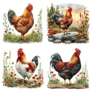 30 Watercolor Chicken PNG Clipart, Farm Hen Scenery Images, Floral ...