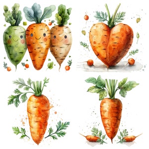 Watercolor Carrot PNG Clipart, 43 Orange Vegetable Carrot Transparent ...