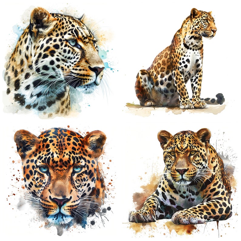 Watercolor Leopard PNG Clipart, 28 Wild Big Cat Panthera Pardus Images ...
