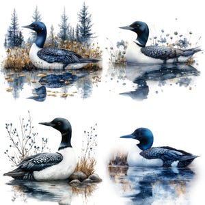 28 Common Loon PNG Clipart Bundle, Watercolor Loon Silhouette Abstract ...